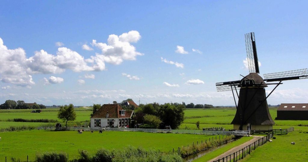 The story behind Pinhok