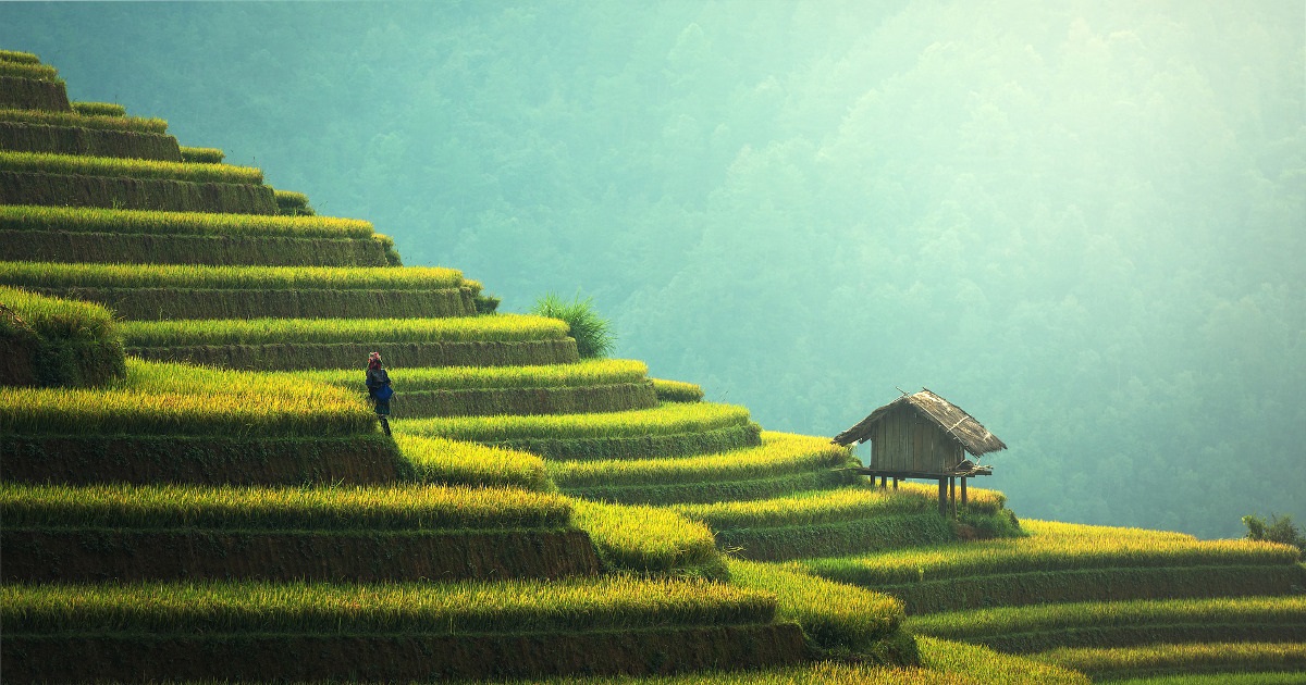 11 free tools for learning Mandarin Chinese