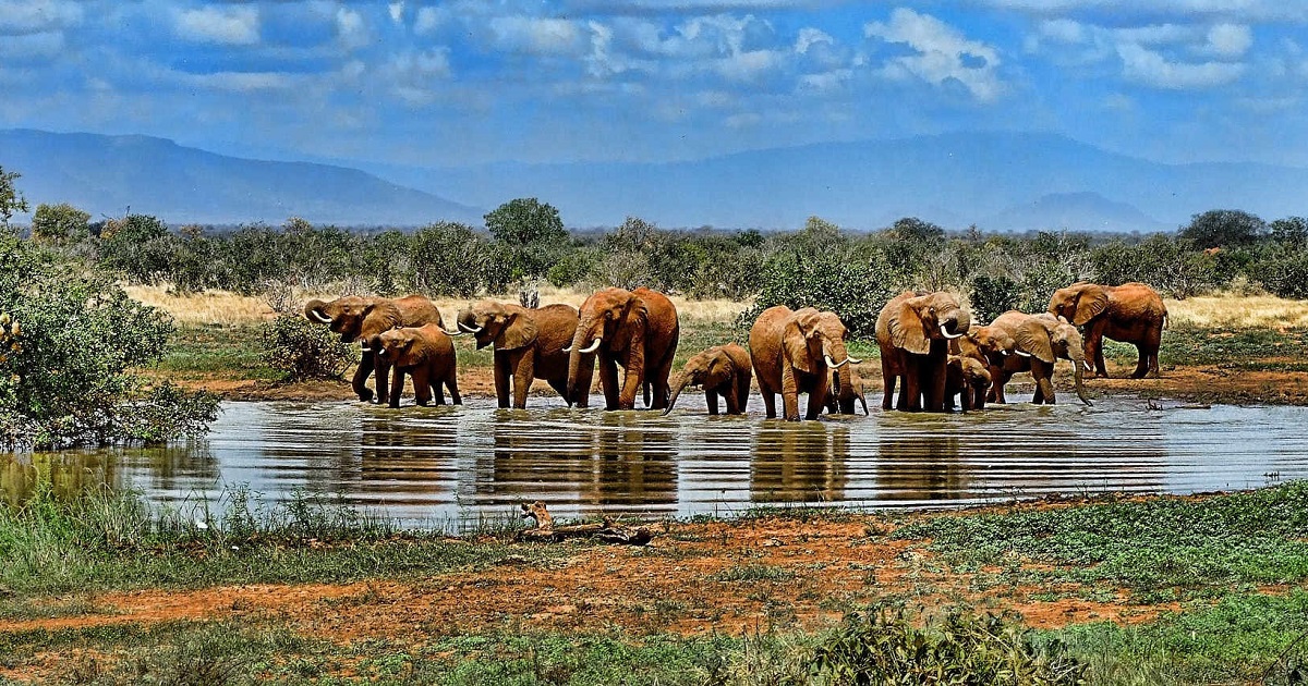 Top 100 Afrikaans Words